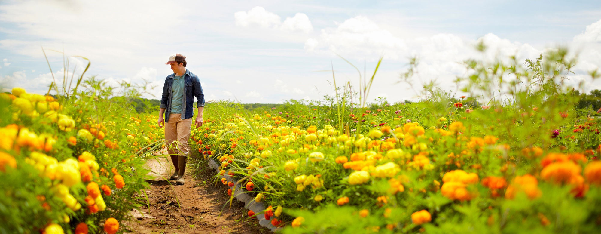 JBW Agrotech Small Farm Equipment – JBW Agrotech, Inc.